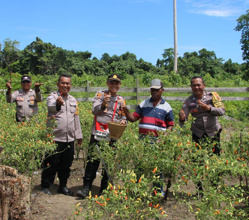 Anggota Basarnas Jayapura Meninggal Dunia dalam Tugas Menyelamatkan ...